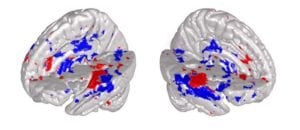Musical Brain-Reading Sheds Light on Neural Processing of Music ...