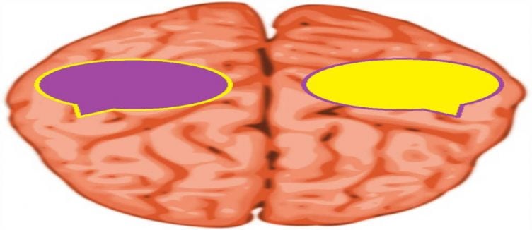 Speech Means Using Both Sides of Our Brain - Neuroscience News