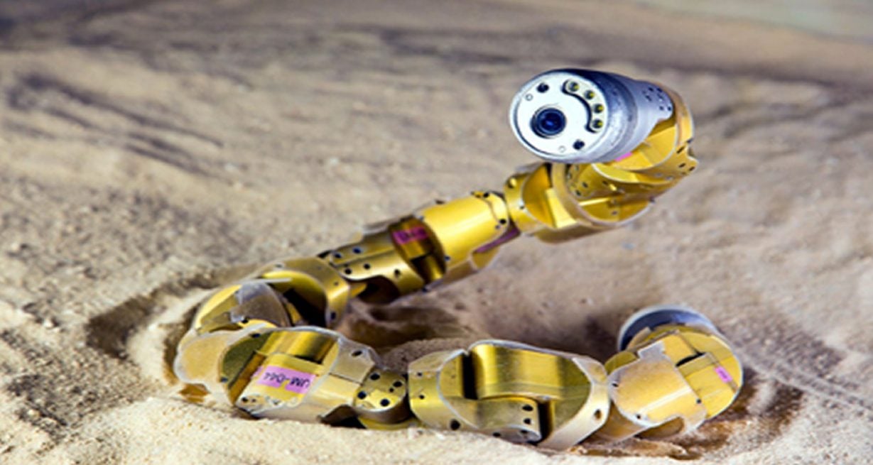 Snake Robots Learn To Turn By Following the Lead of Real Sidewinders ...