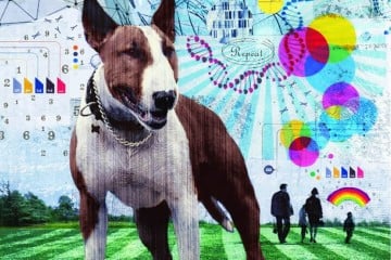 Tracing the Roots of OCD in People and Pets - Neuroscience News
