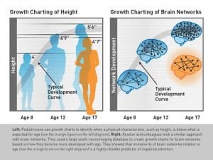 Brain 'Growth Chart' May Help Identify Attention Problems Early ...