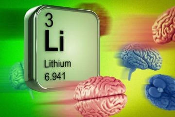 New Clue to How Lithium Works in the Brain - Neuroscience News