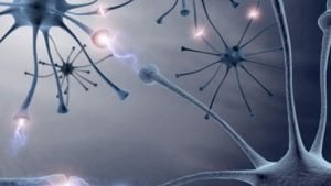 Mapping Memory - Neuroscience News