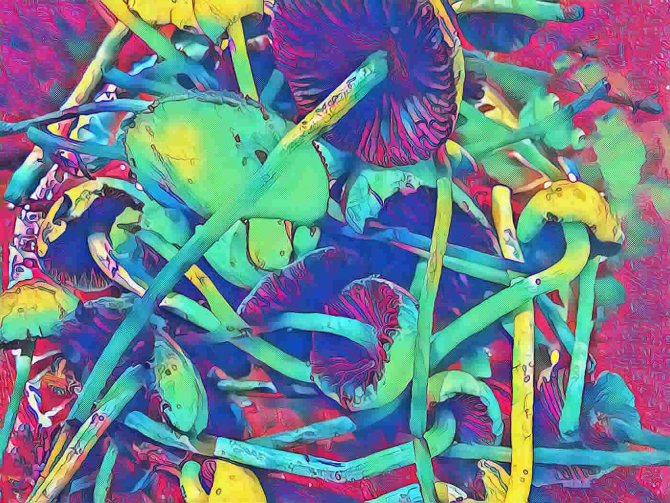 The Real Promise of LSD, Mushrooms and MDMA for Medical Science ...