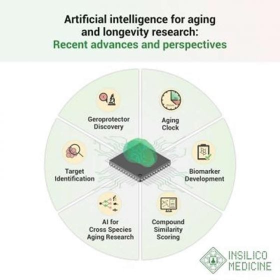 Artificial Intelligence Tracks Biological Age and Helps Rewind the ...