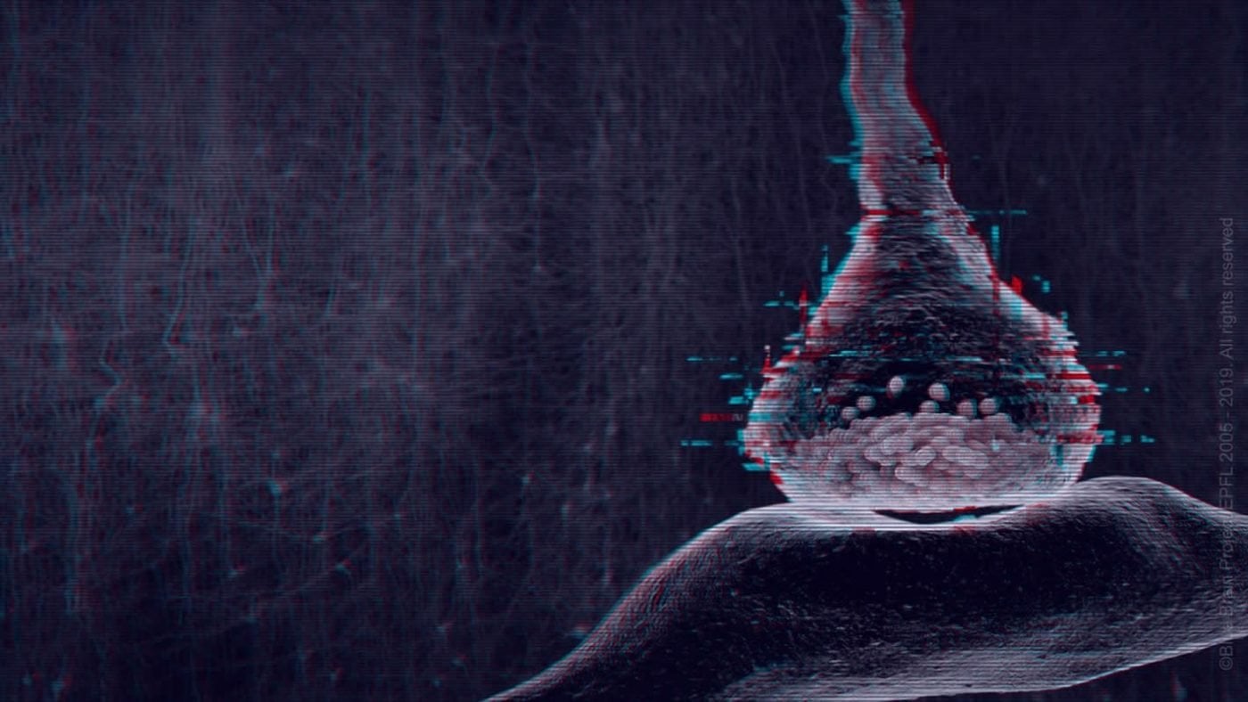 How the brain finds order amidst chaos - Neuroscience News