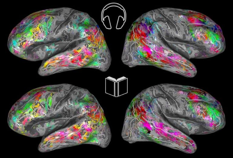 A map of the brain can tell what you're reading - Neuroscience News
