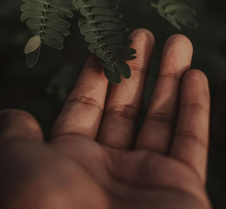 Approaching the perception of touch in the brain - Neuroscience News