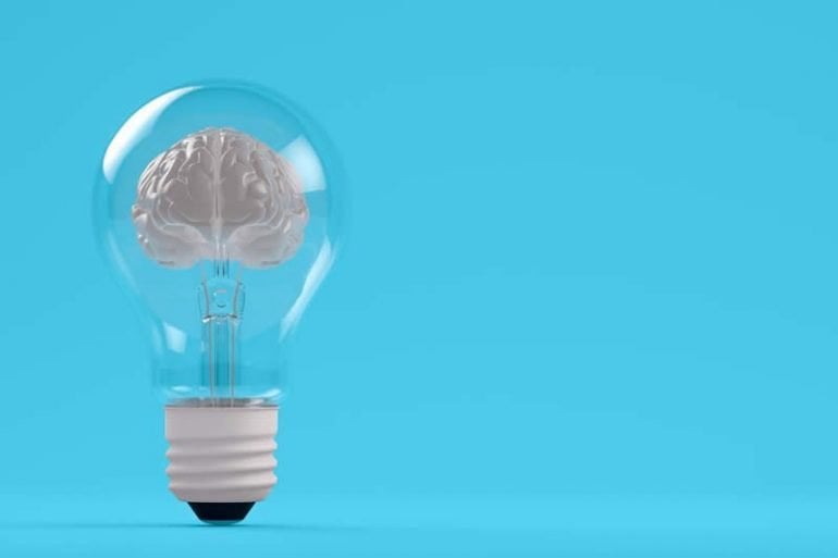 New insight into brain connectivity - Neuroscience News