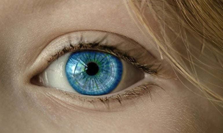 Eye movements precede hand movements in two-pronged decision-making ...