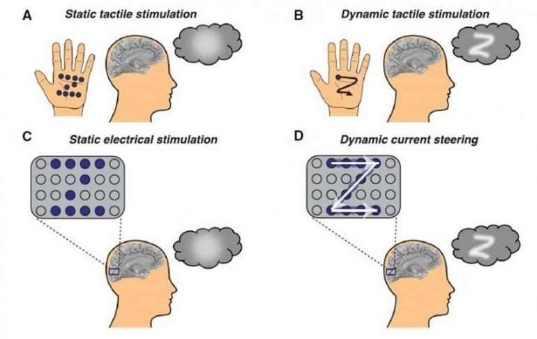 Dynamic stimulation of the visual cortex allows blind and sighted ...