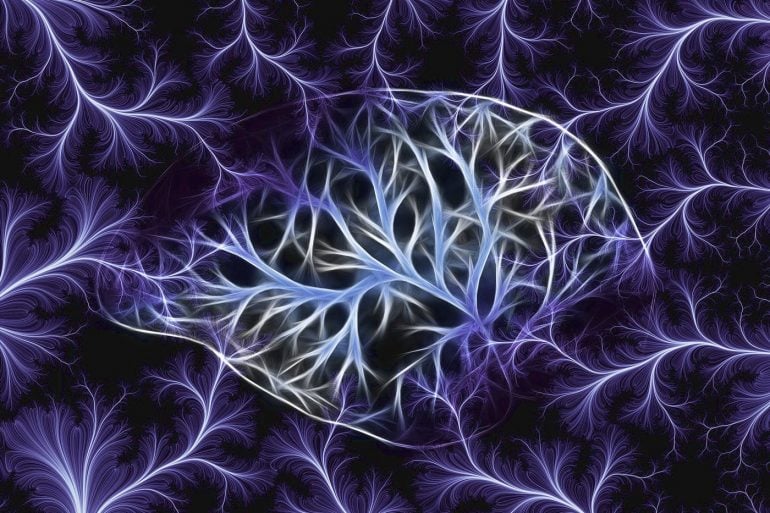 Scientists Observe Learning Processes Online In The Brain