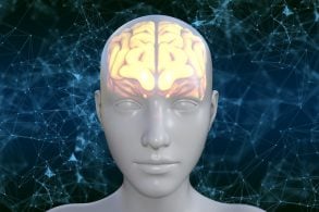 A Genetic Link Between Face and Brain Shape - Neuroscience News