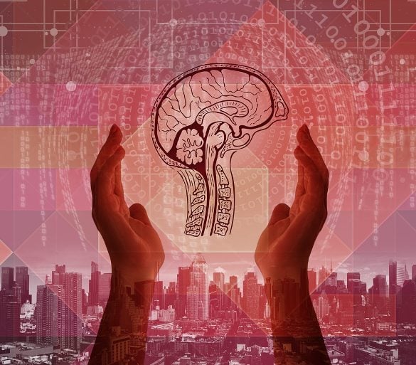 Neuroscience News Science Magazine Research Articles Psychology Neurology Brains Ai