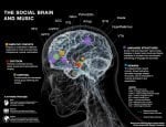 What Happens in the Brain When People Make Music Together ...