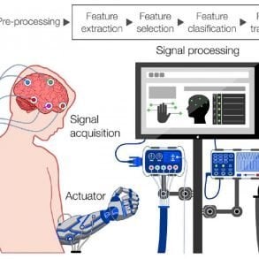brain computer interface News Research Tags Articles - Neuroscience News