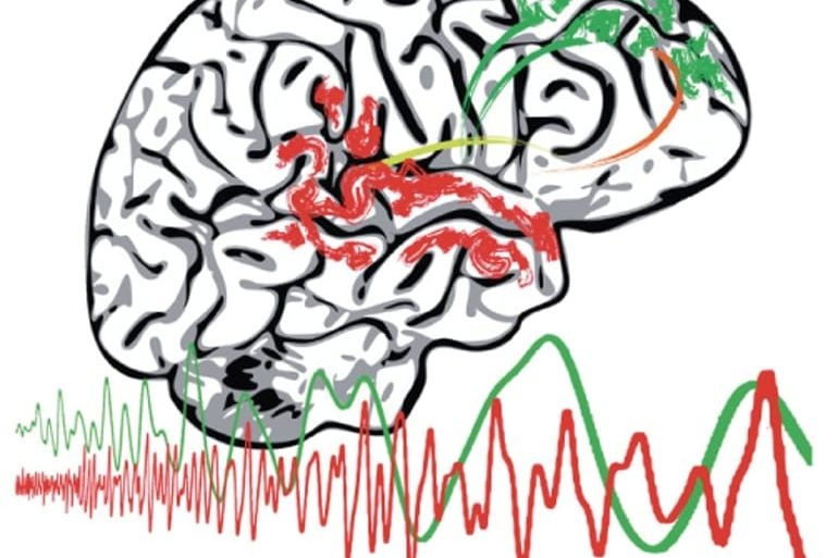 Neuroscience News - Research Topics - Neuroscience News