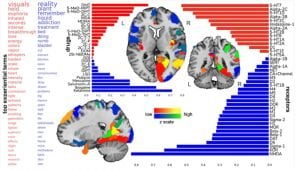 Largest Ever Psychedelics Study Maps Changes of Conscious Awareness to ...
