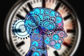 The Stuff of Thought Is the Stuff of Experience - Neuroscience News