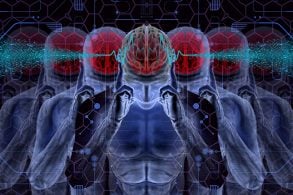 Grammy Nominees Are a Brainy Bunch: Music Rewires the Brain ...