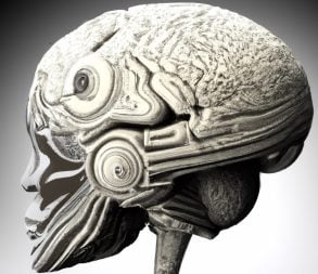 Biological Brains Outpace AI in Learning, Thanks to Structured ...