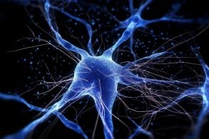 BigNeuron: Revolutionizing Neuron Reconstruction with AI