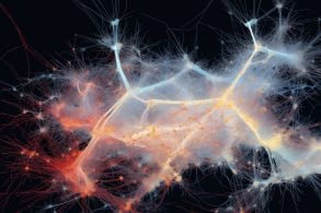 New Map Shows How Our Neurons Communicate - Neuroscience News