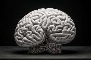 Complete Cell Atlas of a Mammalian Brain Unveiled - Neuroscience News