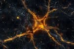 Astrocytes: The Unsung Heroes of Learning and Memory - Neuroscience News
