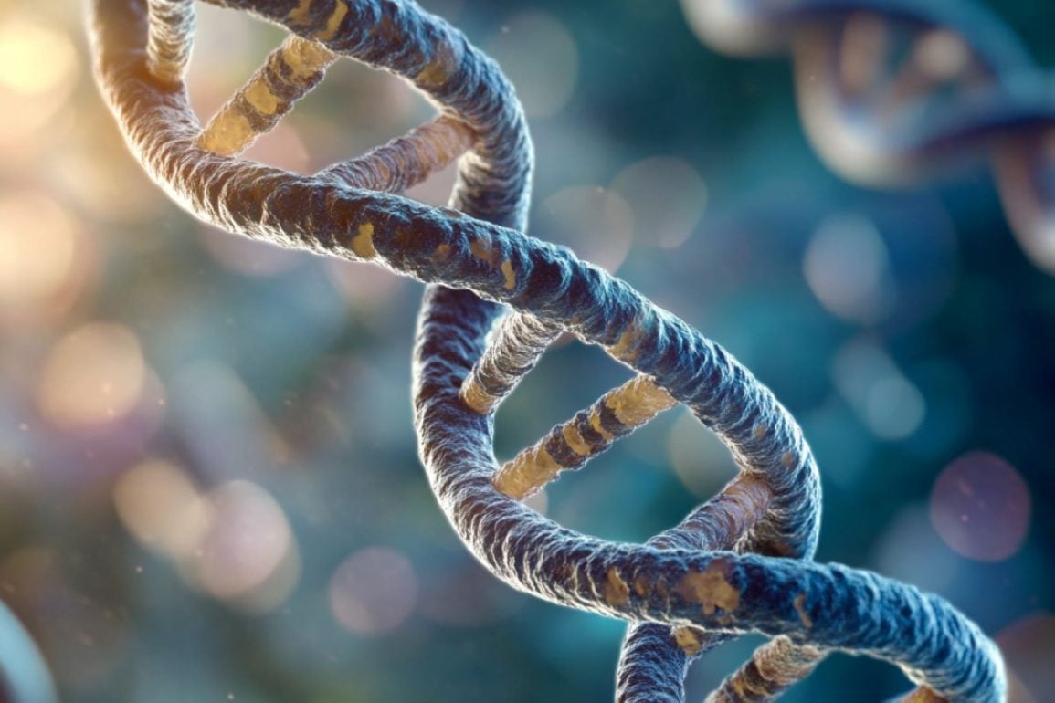 Critical Longevity Gene Discovered - Neuroscience News
