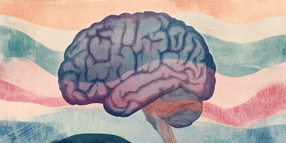 Neuroscience News Research Topics Page 3 Of 1434 Neuroscience News