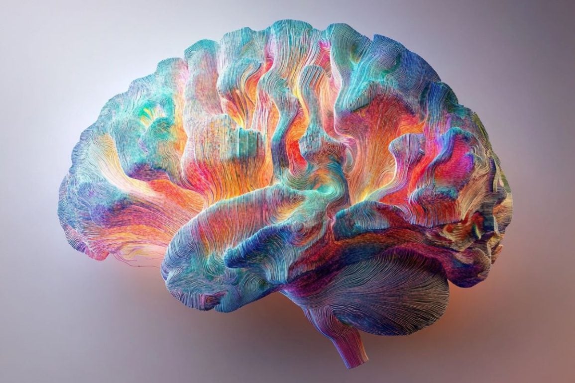 This is Your Brain on LSD - Neuroscience News