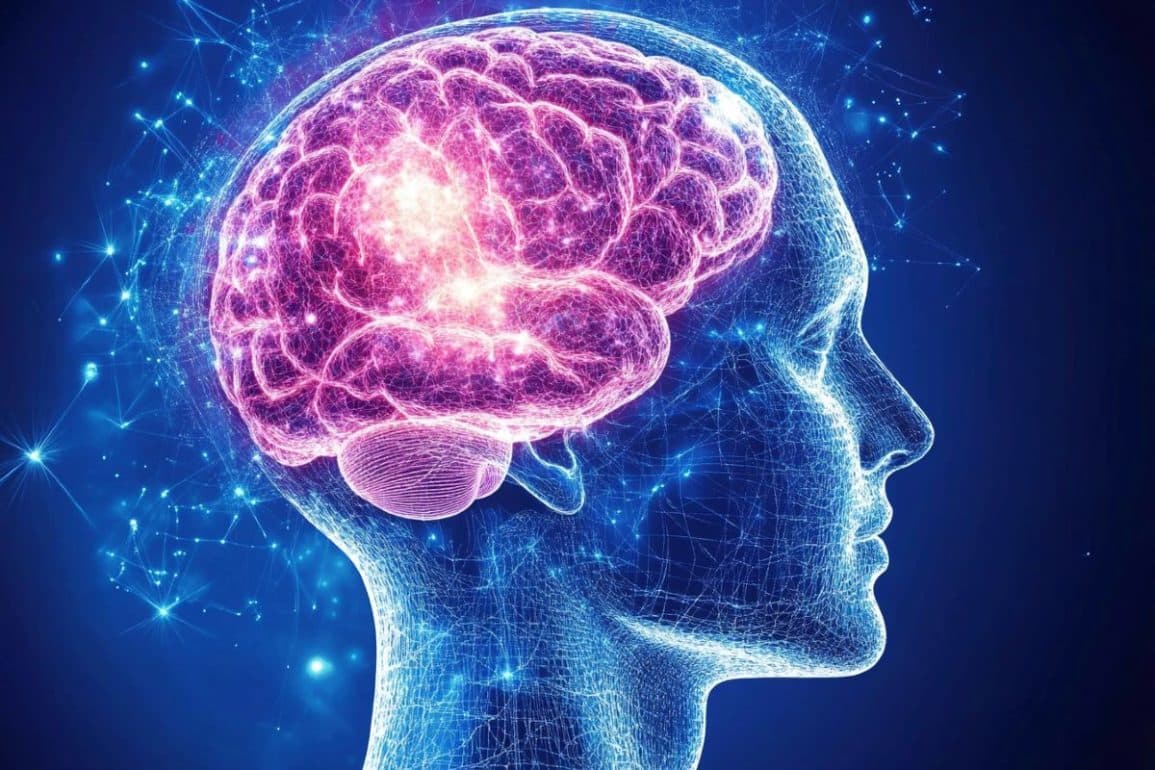 Exercise Boosts Memory for 24 Hours - Neuroscience News