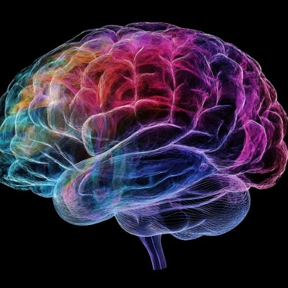 Unlocking Auditory Resilience: How Our Hearing Cells Self-Repair ...