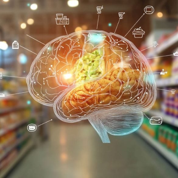 The Neuroscience of Musical Tastes - Neuroscience News