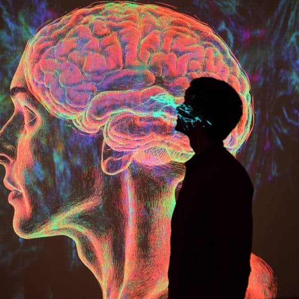 New Insights Into Synaptic Pruning During Brain Development ...