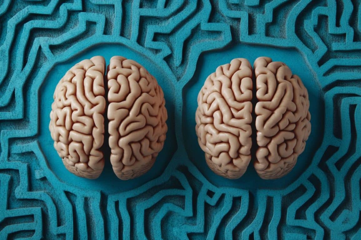 Brain Circuit Discovery Reveals How Empathy Shapes Our Behavior | 1...