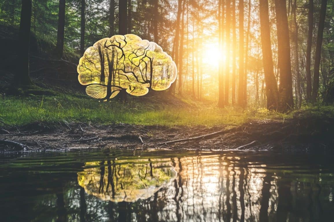 Mindful Mistakes: How Brains Learn from Errors - Neuroscience News