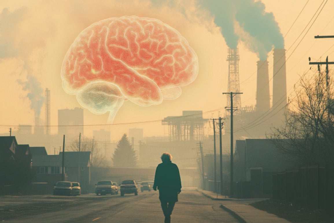 How To Define Maturity When the Brain Never Stops Changing ...