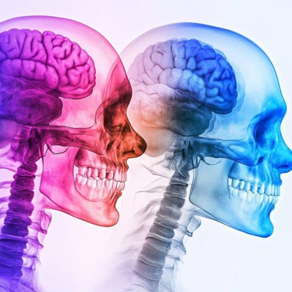 Training the Brain to Recognize Voices - Neuroscience News