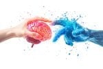 How the Brain Separates Touch We Choose vs. Touch We Receive ...