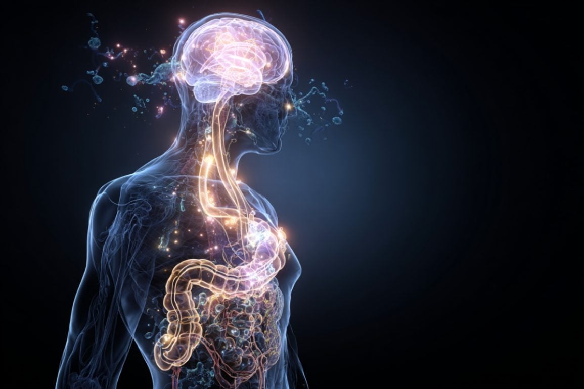 Gut Microbiome May Influence Bipolar Medication Response - Neuroscience ...