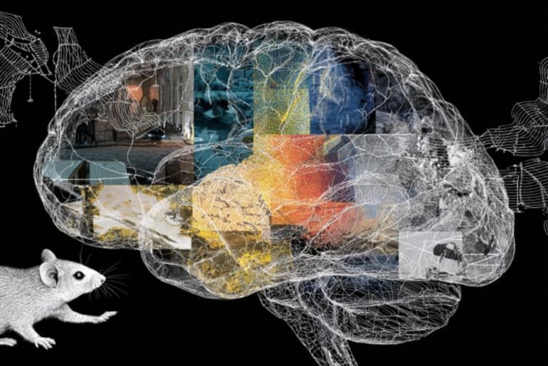 Mechanism that Controls When We Sleep and When We Wake Discovered ...
