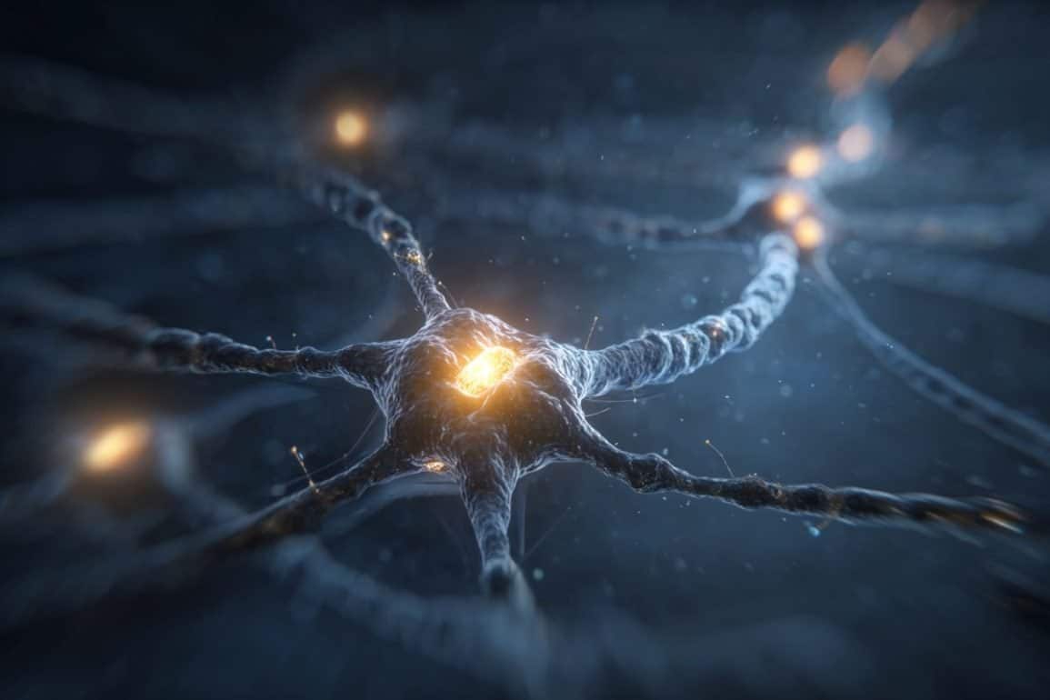 Devil in the Details: The Visual World of Prosopometamorphopsia ...