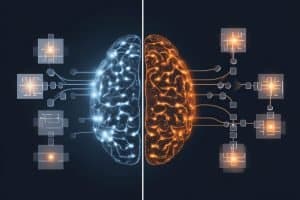 How the Brain Learns to See - Neuroscience News