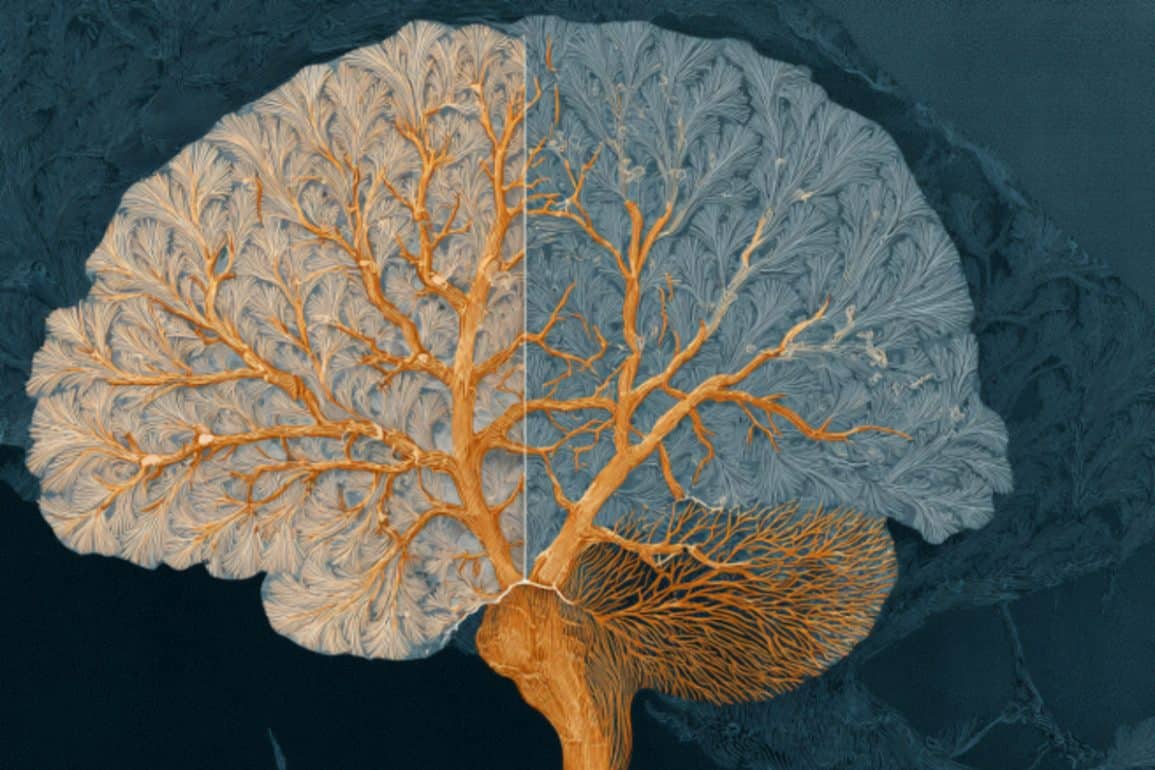 Autism and ADHD Brain Patterns Reveal Shared Biological Roots ...