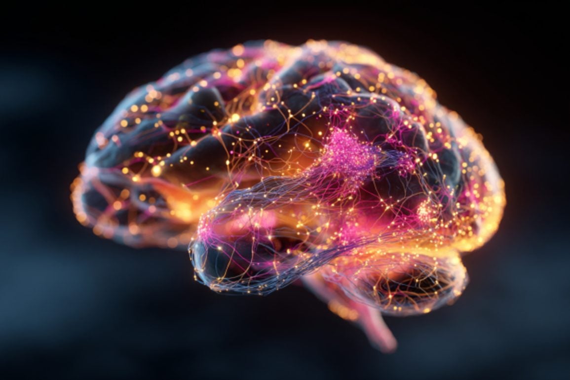 BrainSTEM Atlas Maps Every Cell of the Developing Human Brain ...