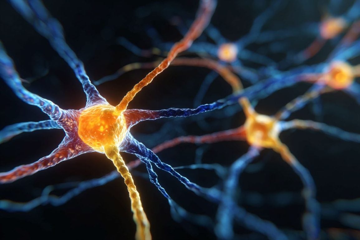 Two Dopamine Neuron Subtypes Process Smell in Different Ways ...