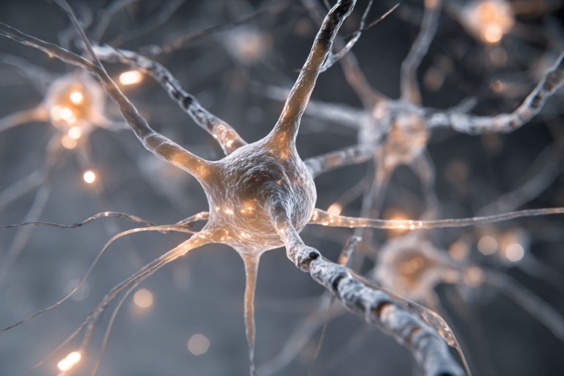 Printable Artificial Neurons That "Talk" to Living Brain Cells ...