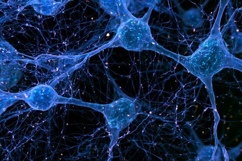 Disrupted Neuronal Microexons Drive Hyperarousal and Insomnia ...